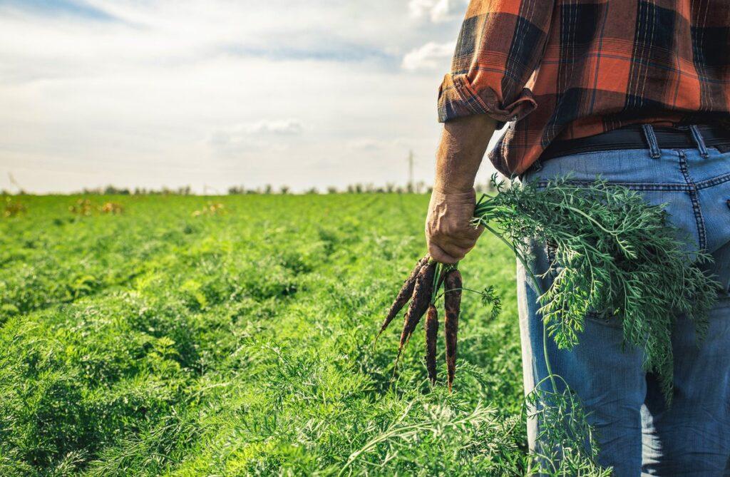 Farm to fork strategy: The first step towards an EU sustainable food ...