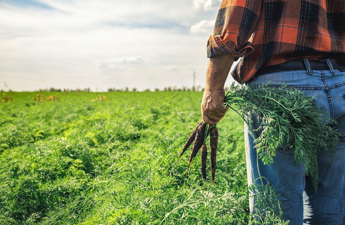Farm to fork strategy: The first step towards an EU sustainable food ...