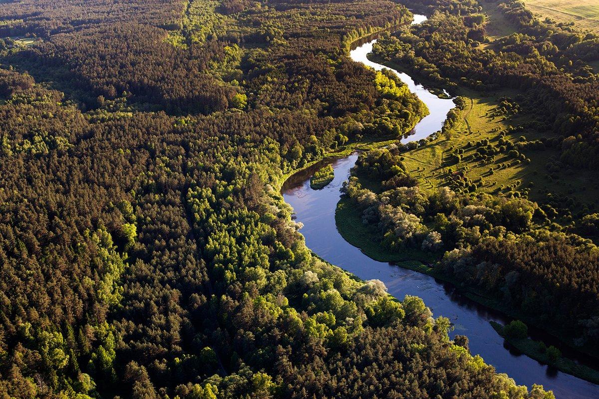 Putting nature at the heart of Europe's climate fight - IEEP AISBL