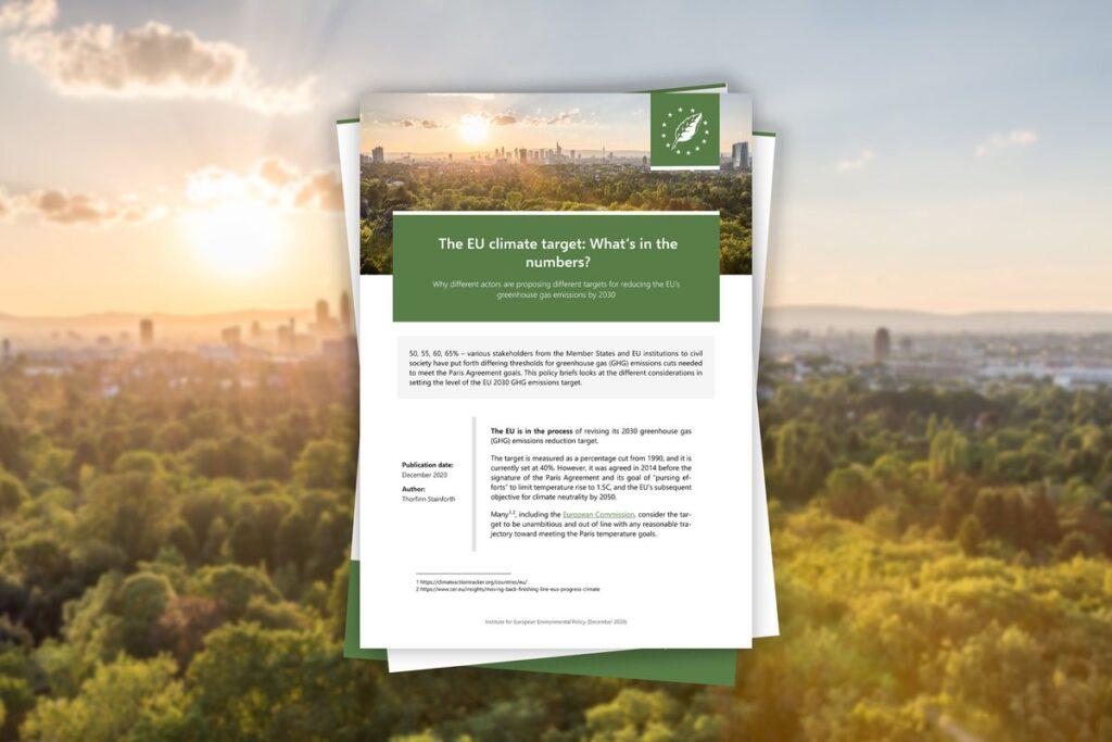 The EU climate target: What's in the numbers? - IEEP AISBL