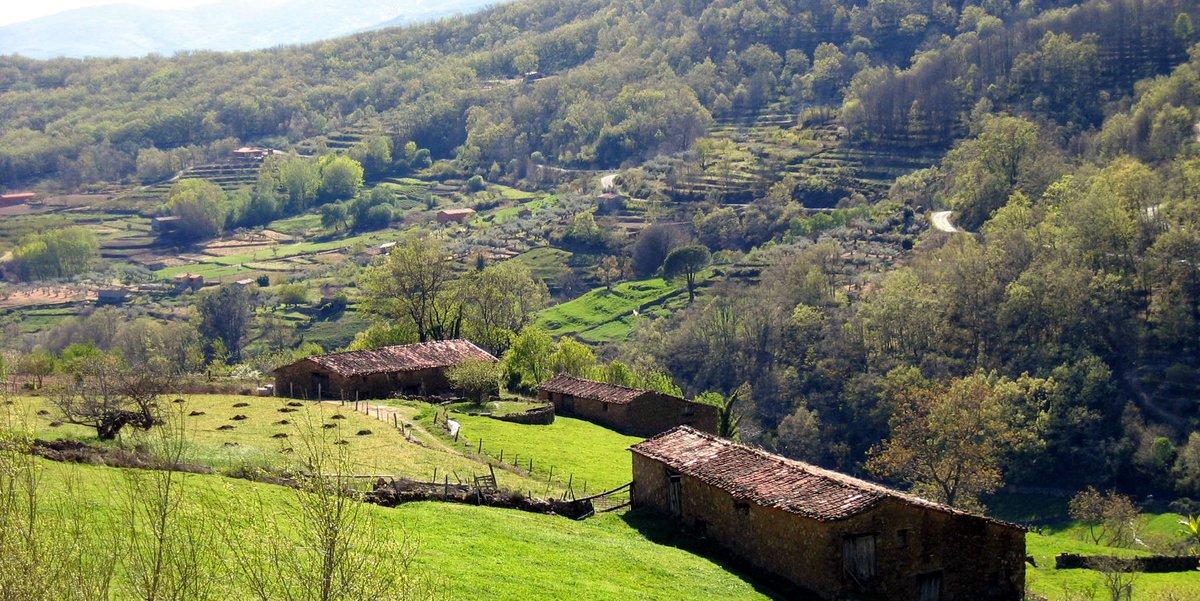 Delivering environmental benefits through entry-level agri-environment ...