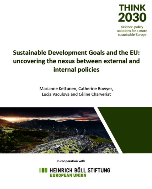 Launching IEEP’s Global Challenges and SDGs Programme - IEEP AISBL