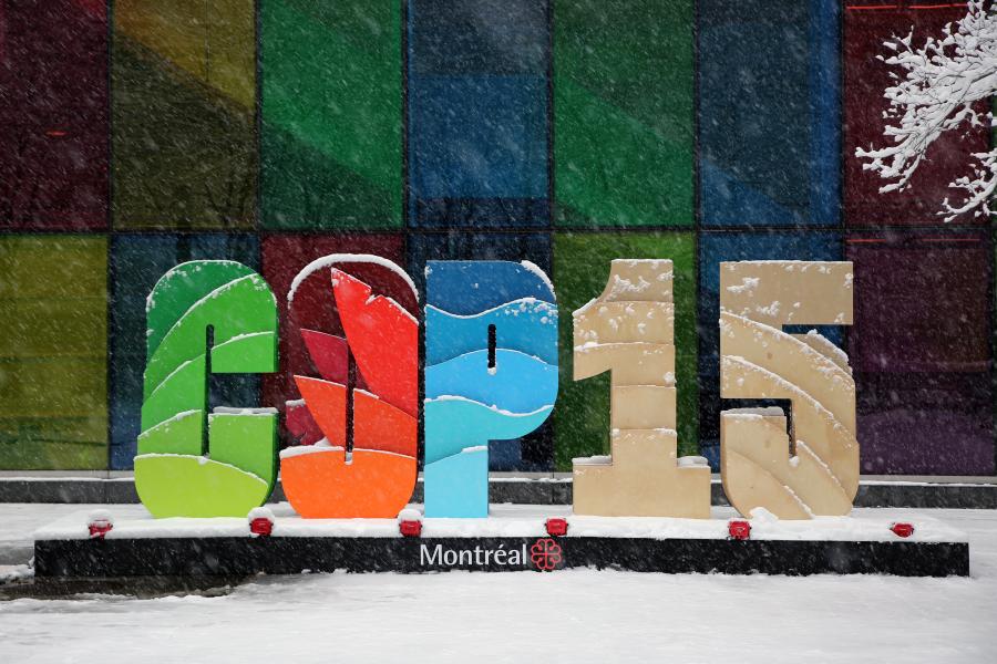 How Does The Post 2020 Global Biodiversity Framework Compare With The