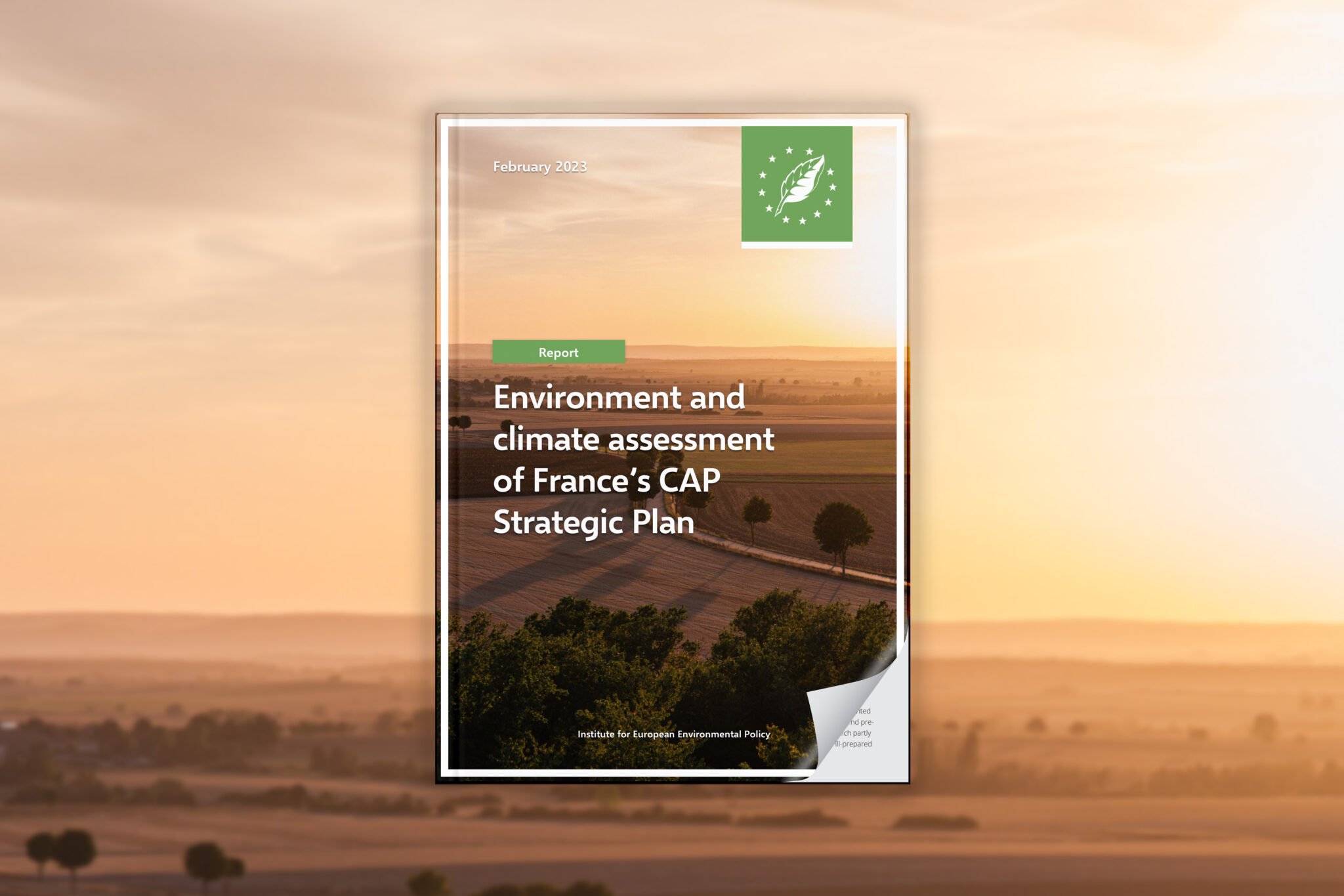 Publications – IEEP AISBL