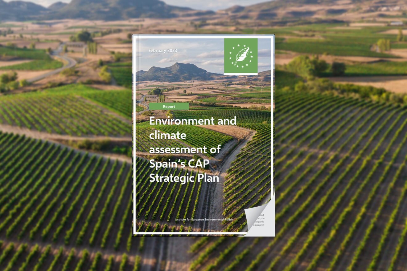 Environment and climate assessment of Spain's CAP Strategic Plan - IEEP ...