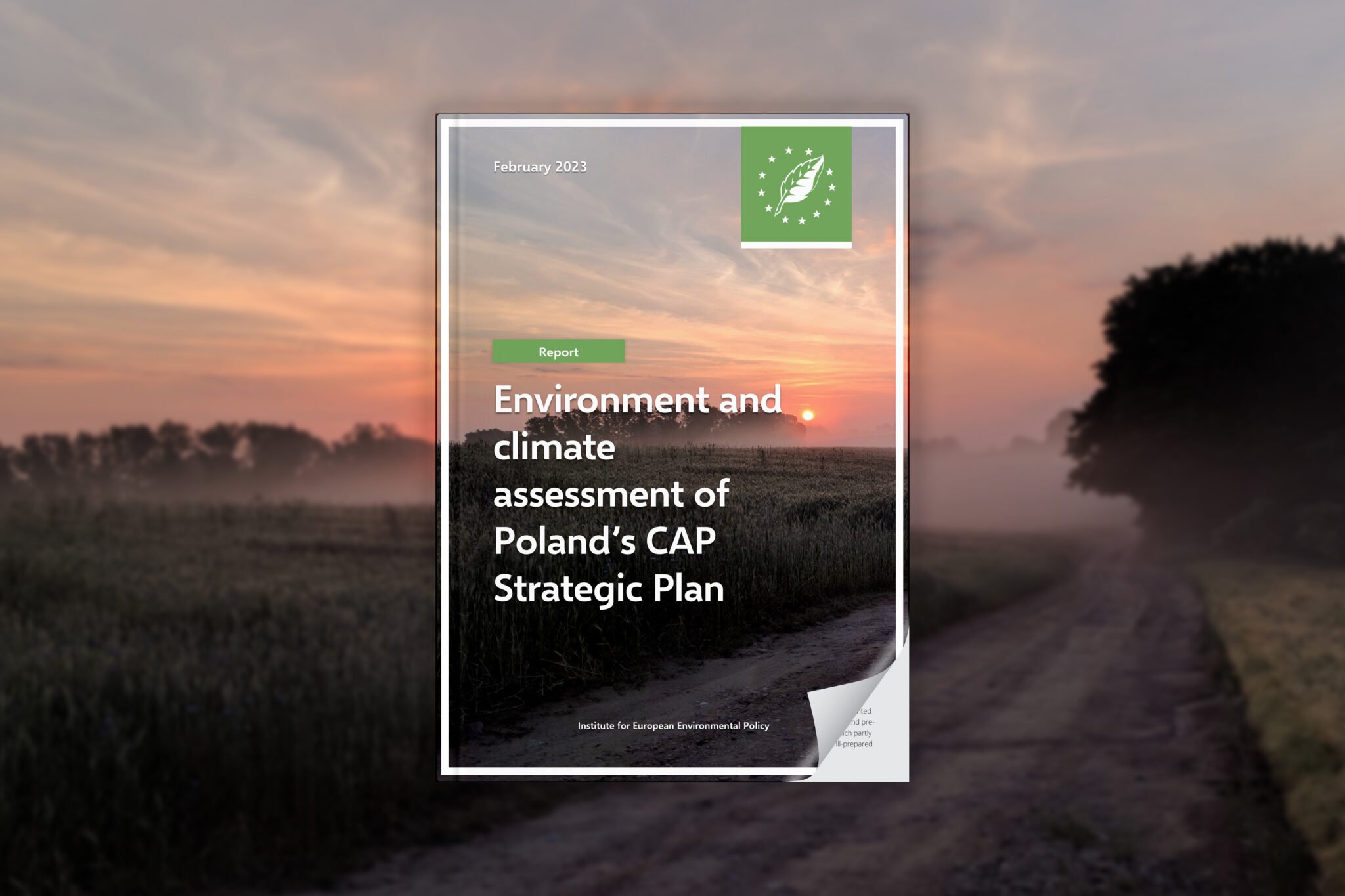 Publications – IEEP AISBL