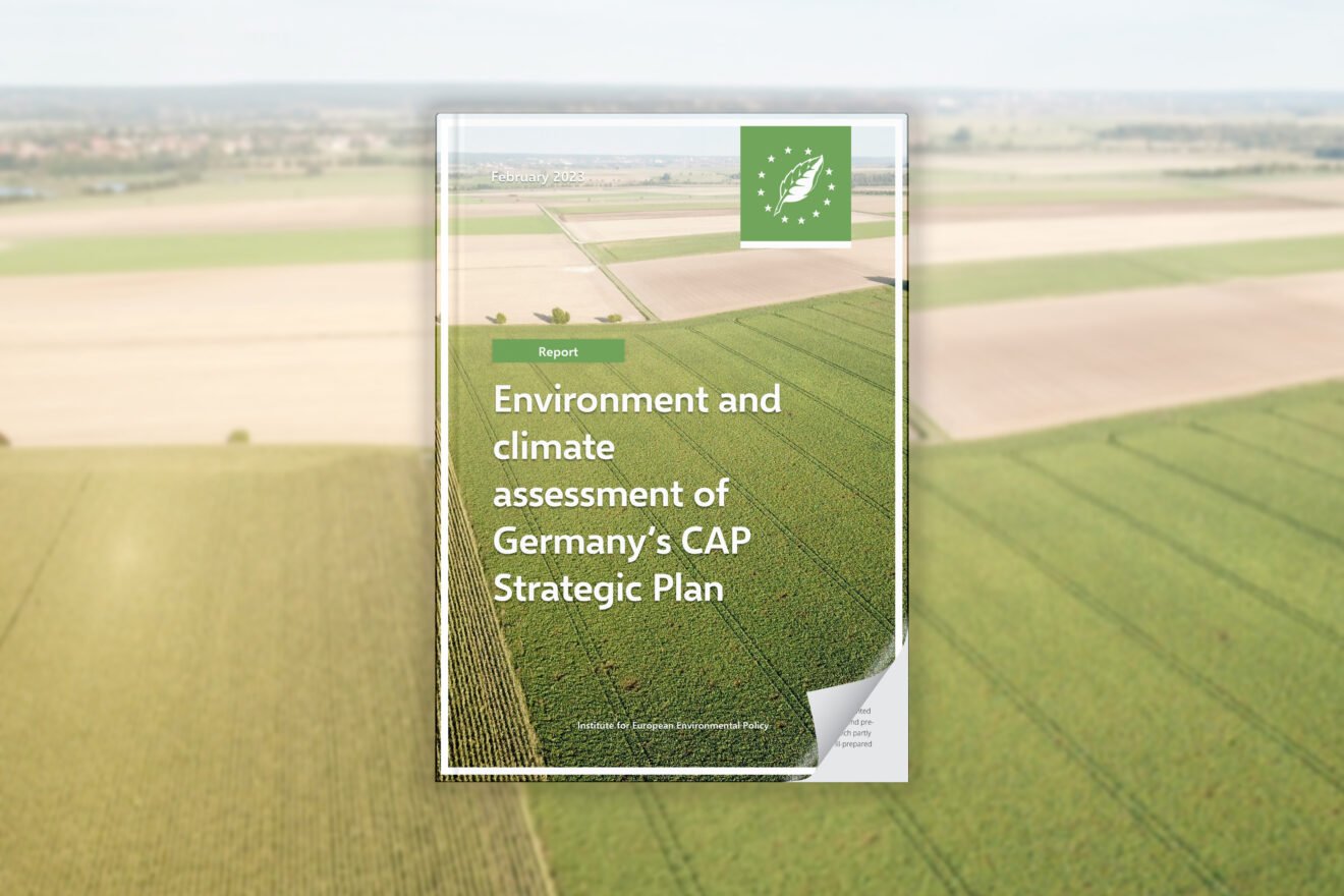 Publications – IEEP AISBL