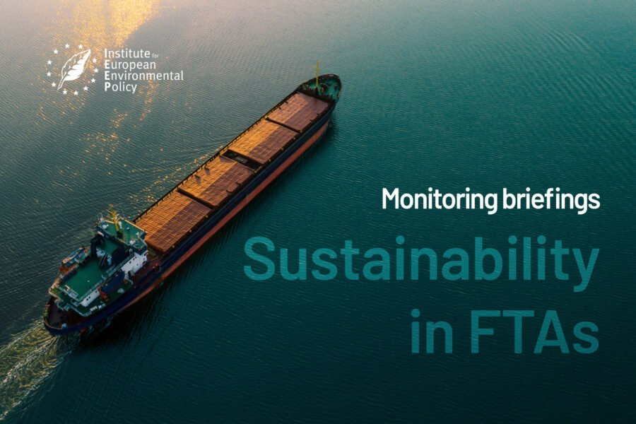 Overview Global Challenges and SDGs – IEEP AISBL