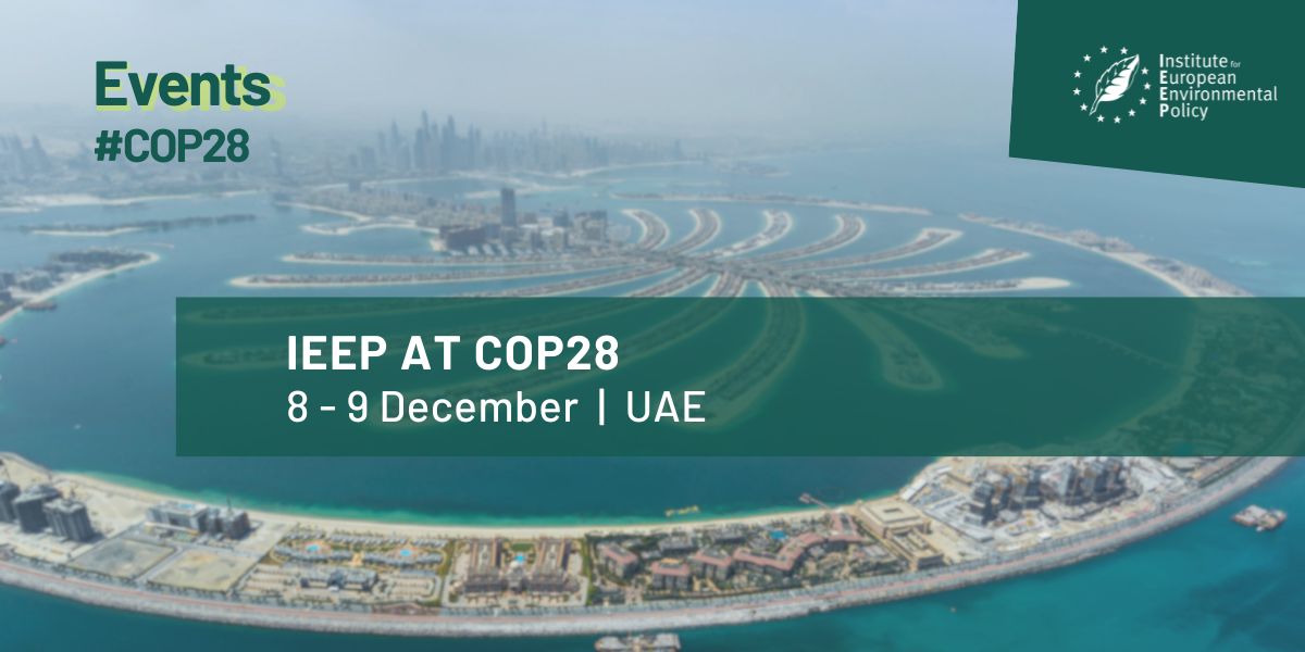 Events | IEEP at COP28 - IEEP AISBL