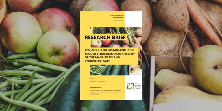 Resilience and sustainability in food systems research: a review of the ...