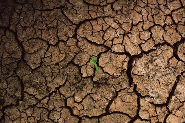 Farming for a water resilient future - IEEP AISBL